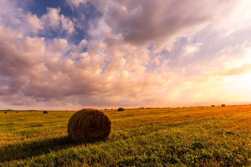 USDA Farm Loans: How to Get Started with FSA Farm Loans